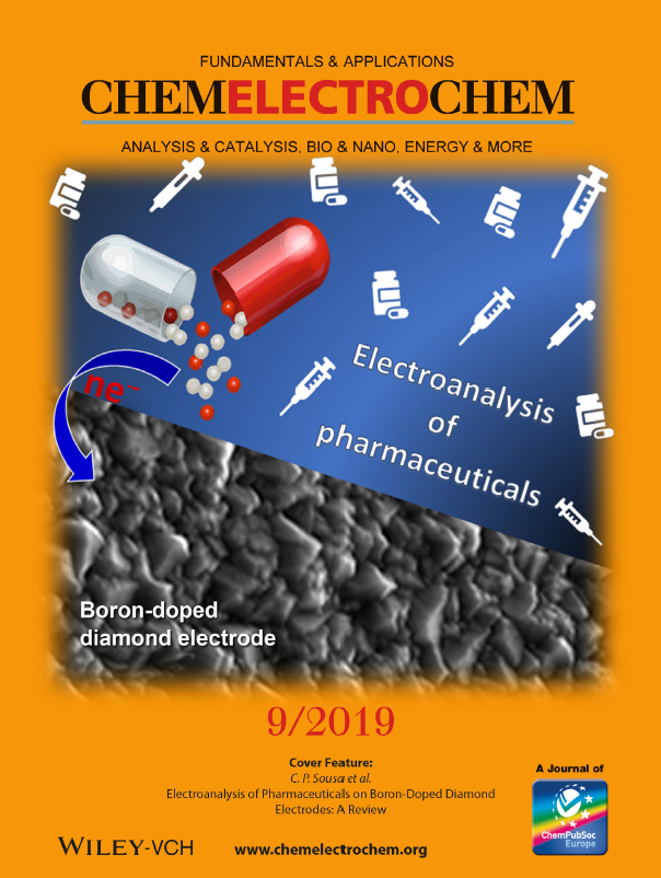 Paper from PPGQ researches is selected as the front cover paper of ...